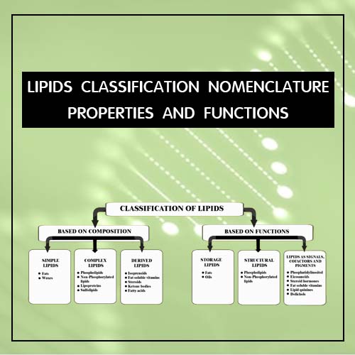 Protein Classification MCQsProtein Classification MCQs – Bio Technology